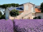 Agriturismo e Azienda Agricola Esposito Susanna e Atria (Tuscany, Livorno, Bibbona), emlak ofisi  Toskana'dan