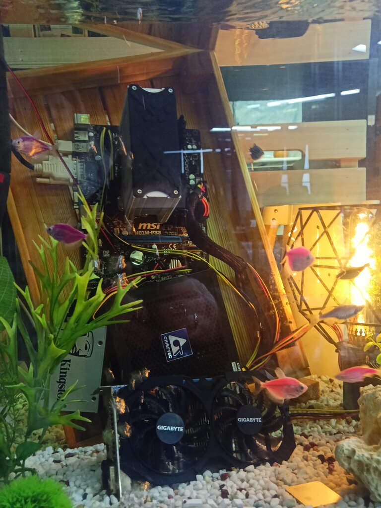 Bilişim firmaları IT Outsourcing Group, Saint‑Petersburg, foto