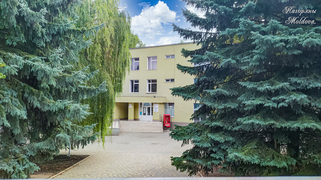 Lise Лицей имени Константина Поповича, Riscani Bölgesi, foto