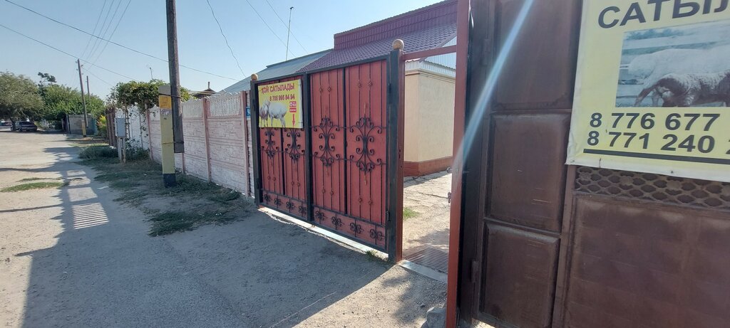 Yem ve yem katkı maddeleri Корм, Taraz, foto