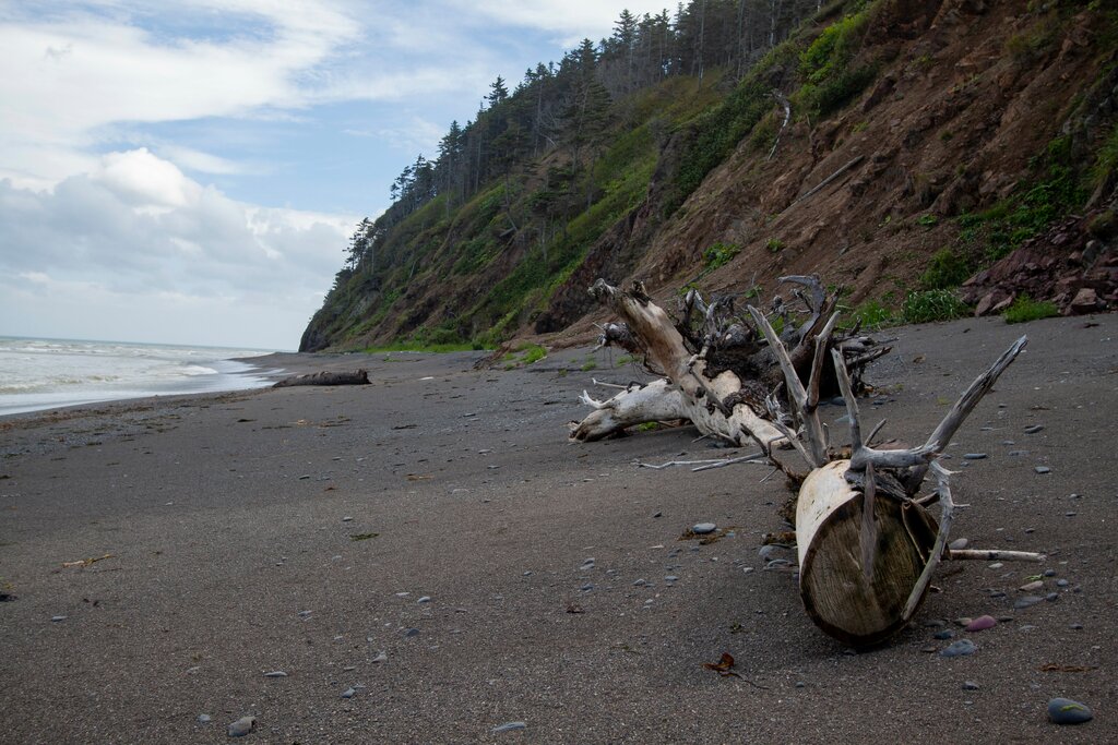 Dağ zirvesi Гора Мысовая, Sahalin Bölgesi, foto