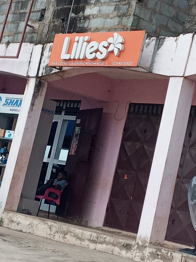 Kozmetik ve parfümeri mağazaları Lilies cosmetics, Dünya, foto