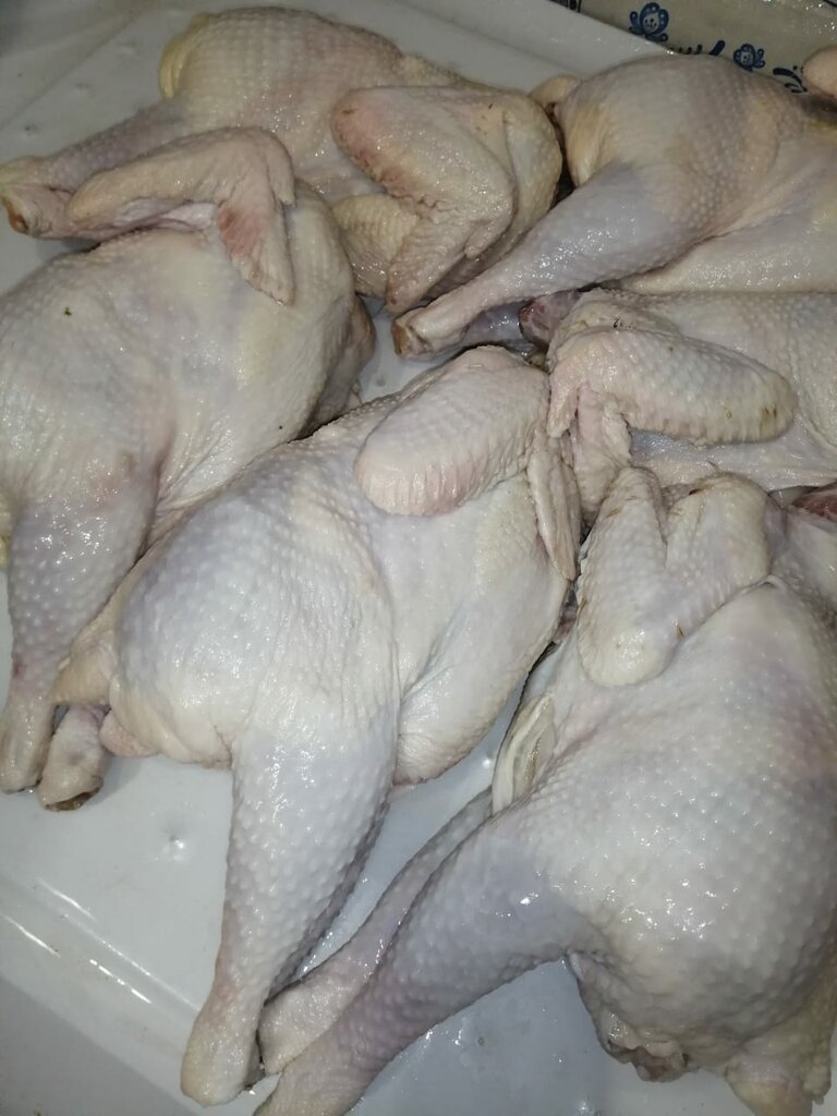 Kanatlı hayvan ürünleri ve yumurta Яйцо и мясо птицы, Moskova ve Moskovskaya oblastı, foto