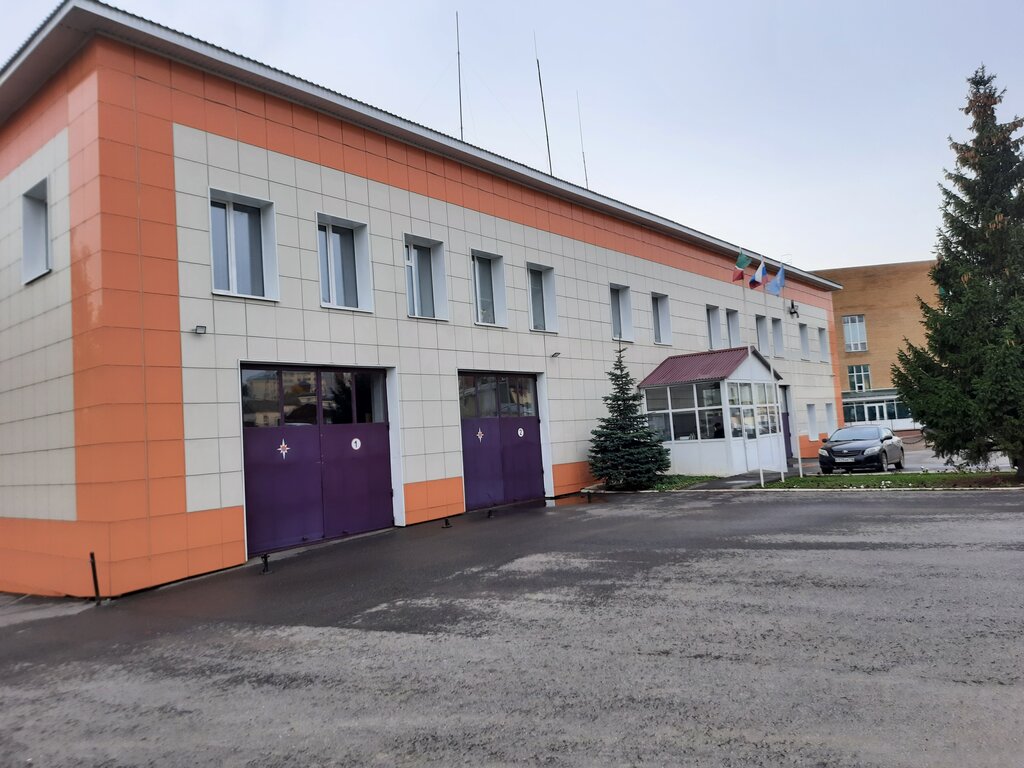 i̇tfaiye 117 PSCh Fgku 7 Ofps po Respublike Tatarstan, Tataristan, foto