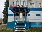 Wildberries (Karpinskogo Street No:1А), teslimat noktası  Penza'dan