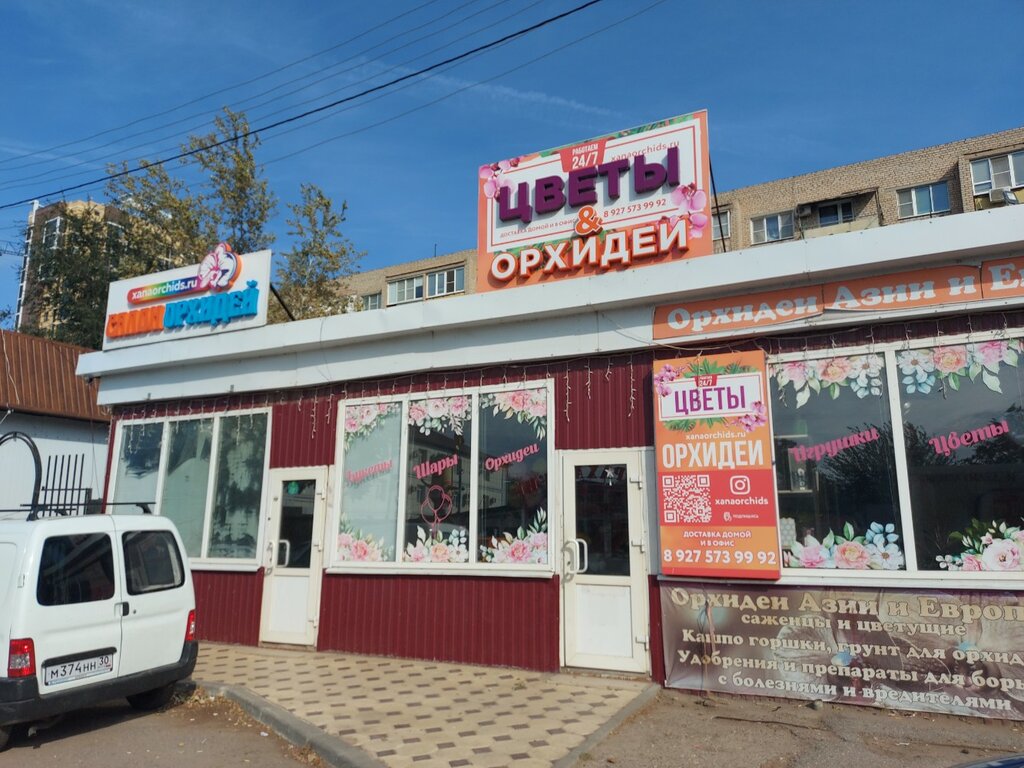 Çiçekçiler Цветы & подарки, Astrahan, foto