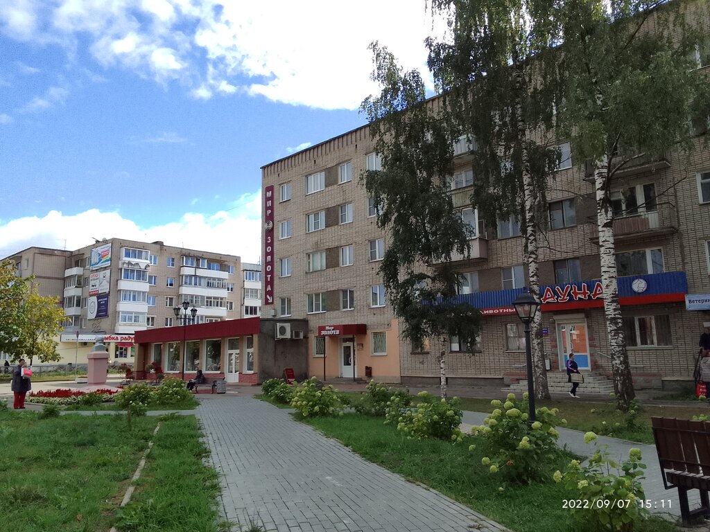 Anıt, heykel А.С. Пушкин, Borovichy, foto