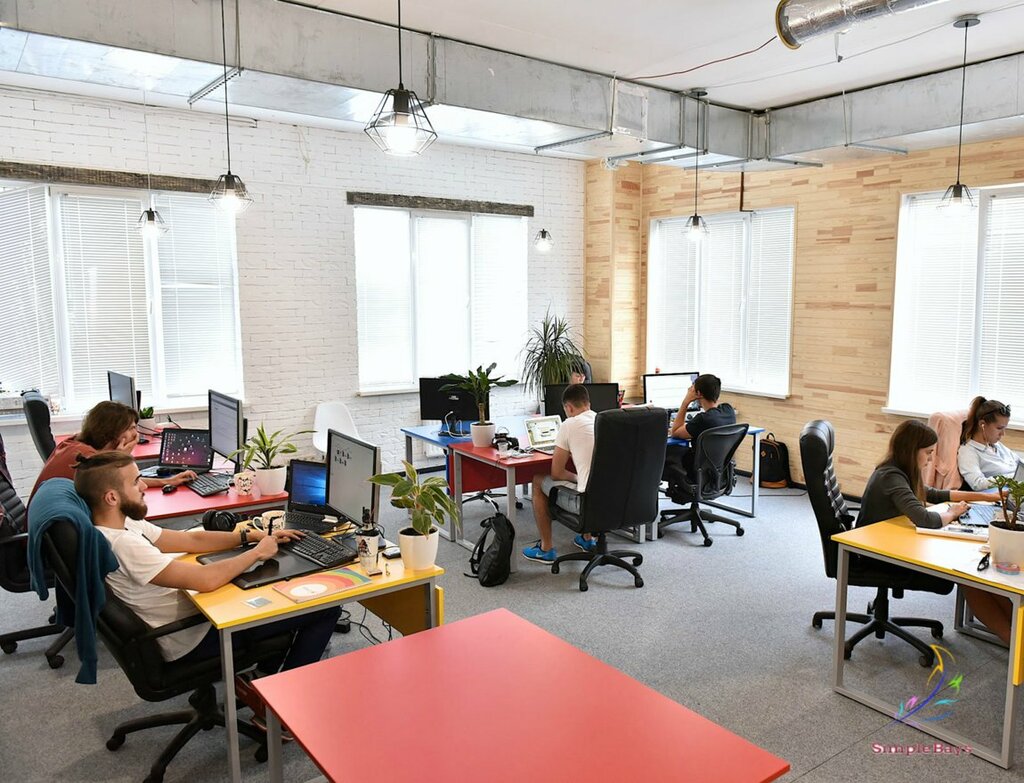 i̇nternet pazarlama şirketi DotWorks. studio, Moskova, foto