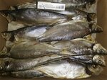 Посейдон (Volgograd Region, Surovikinskiy rayon, Nizhnechirskoye selskoye poseleniye, stanitsa Nizhniy Chir, ulitsa Lenina), balık ve deniz ürünleri  Volgogradskaya oblastından