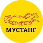 Taxi Mustang (Krasnosel'skaya Street No:11Б), taksi  Nijni Novgorod'dan