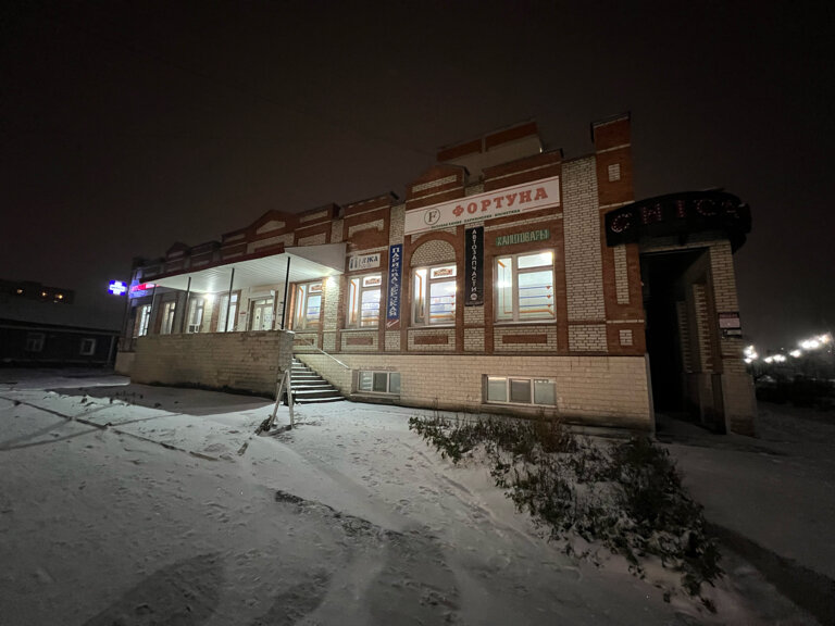 Otomobil yedek parçaları Autoshop, Kuznetsk, foto