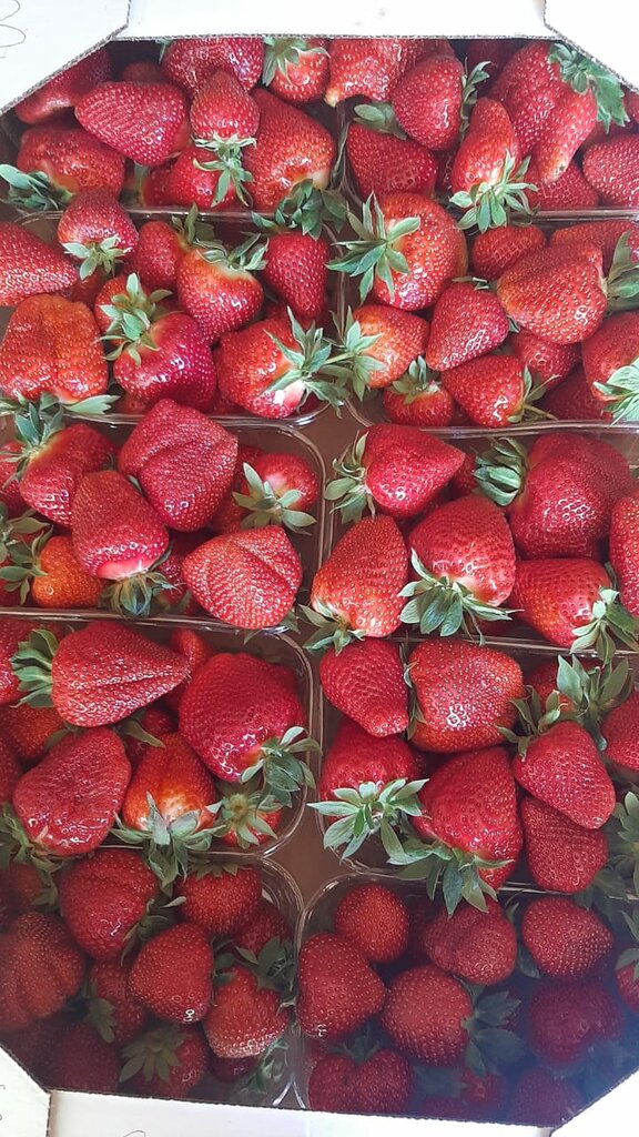 Manavlar Фруктовый Рай, Ust‑Dgeguta, foto