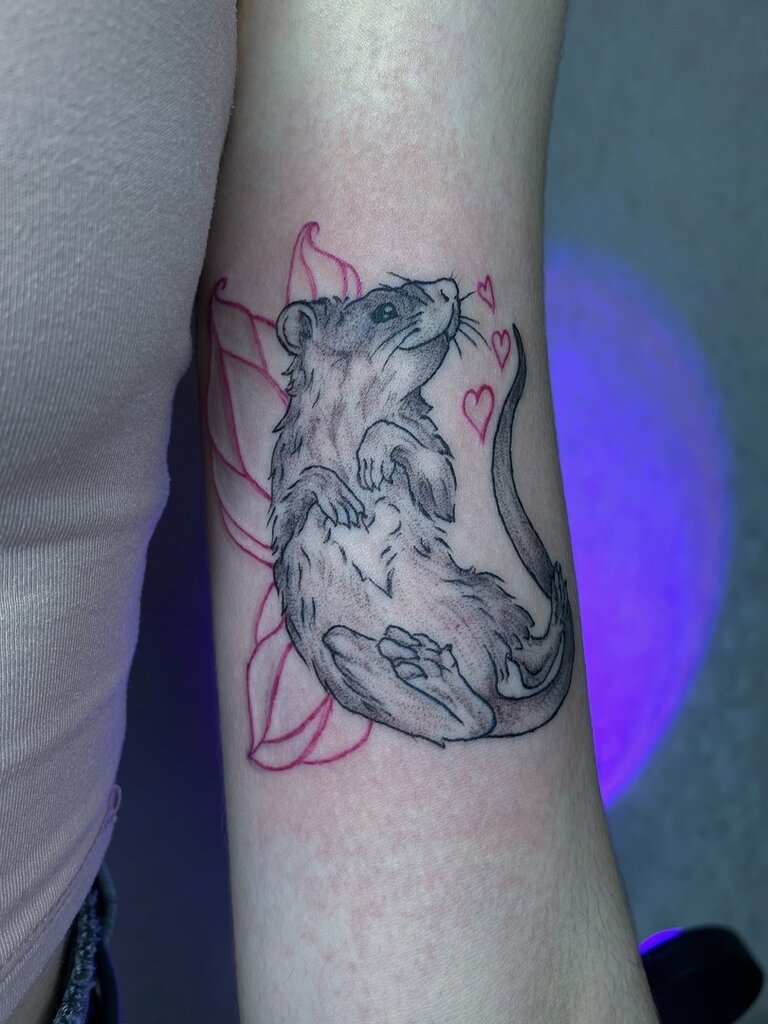 Dövmeciler Darling tatts, Moskova, foto