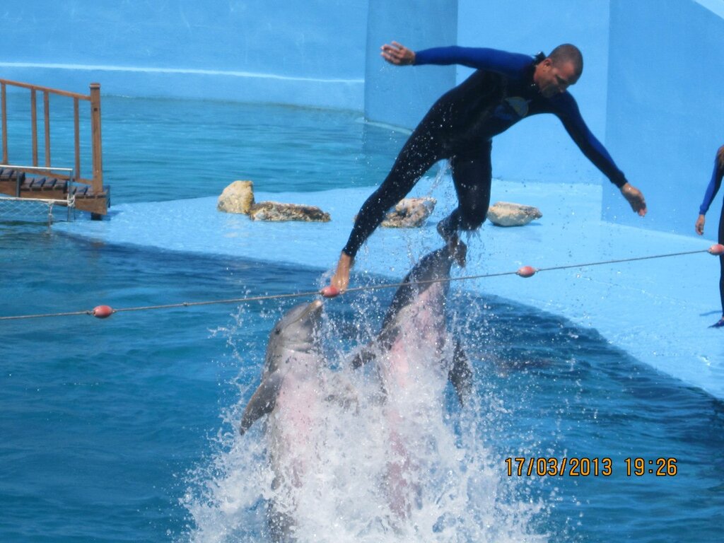 Akvaryumlar Acuario Nacional Cuba, Havana, foto