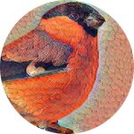 Snegir (Obvodnogo Kanala Embankment No:156к5), huzurevi, bakımevi  Saint‑Petersburg'dan