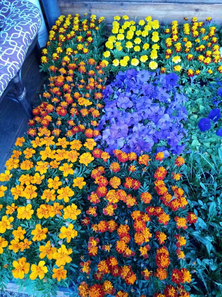 Market Ecofood, Hantı‑Mansi, foto