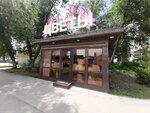 Цветы (Saratov, prospekt Entuziastov), çiçekçiler  Saratov'dan