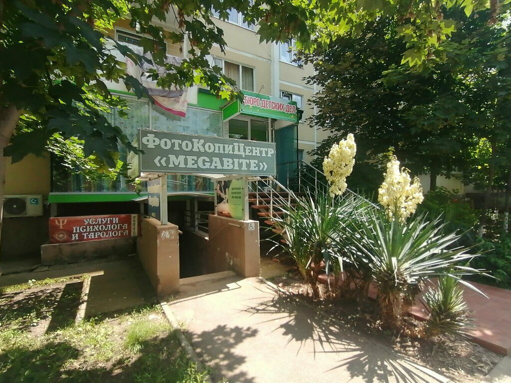 Fotoğraf hizmetleri Megabite, Krasnodar, foto