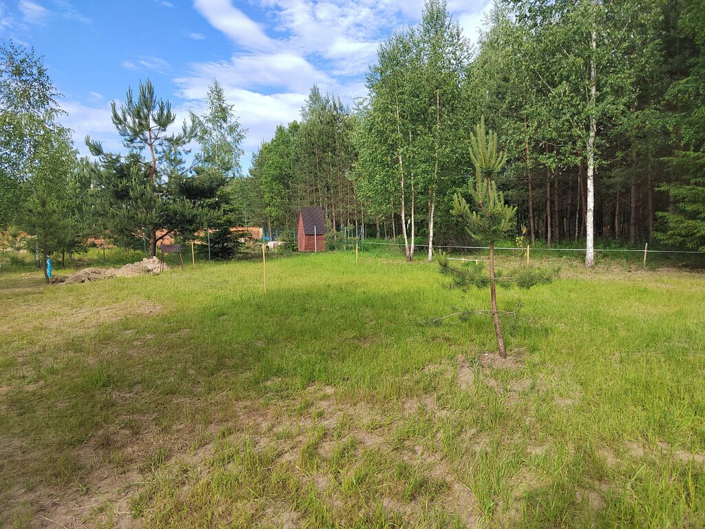 Bahçecilik dernekleri ve kuruluşları Sadovodcheskoye tovarishchestvo Lesnoye, Minskaya oblastı, foto