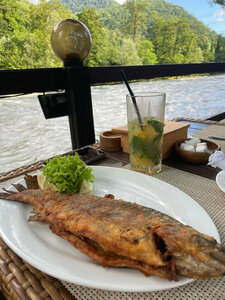 Salmo (Partizanskaya ulitsa No:17, selo Monastyr), restoran  Soçi'den