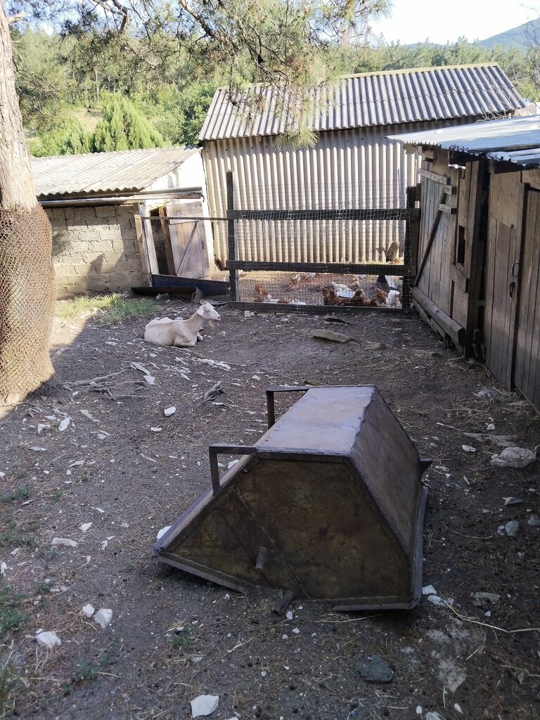 Pınar, çay Spring, stream, Krasnodarski krayı, foto