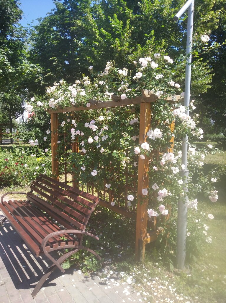 Meydan Tsvetochniy Public Garden, Lipetsk, foto