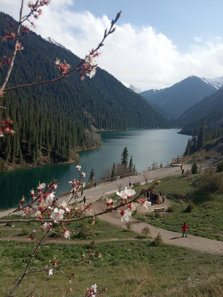 Otel EcoHouse, Almatı eyaleti, foto