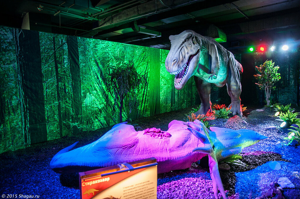 Eğlence merkezleri Dino club, Moskova, foto