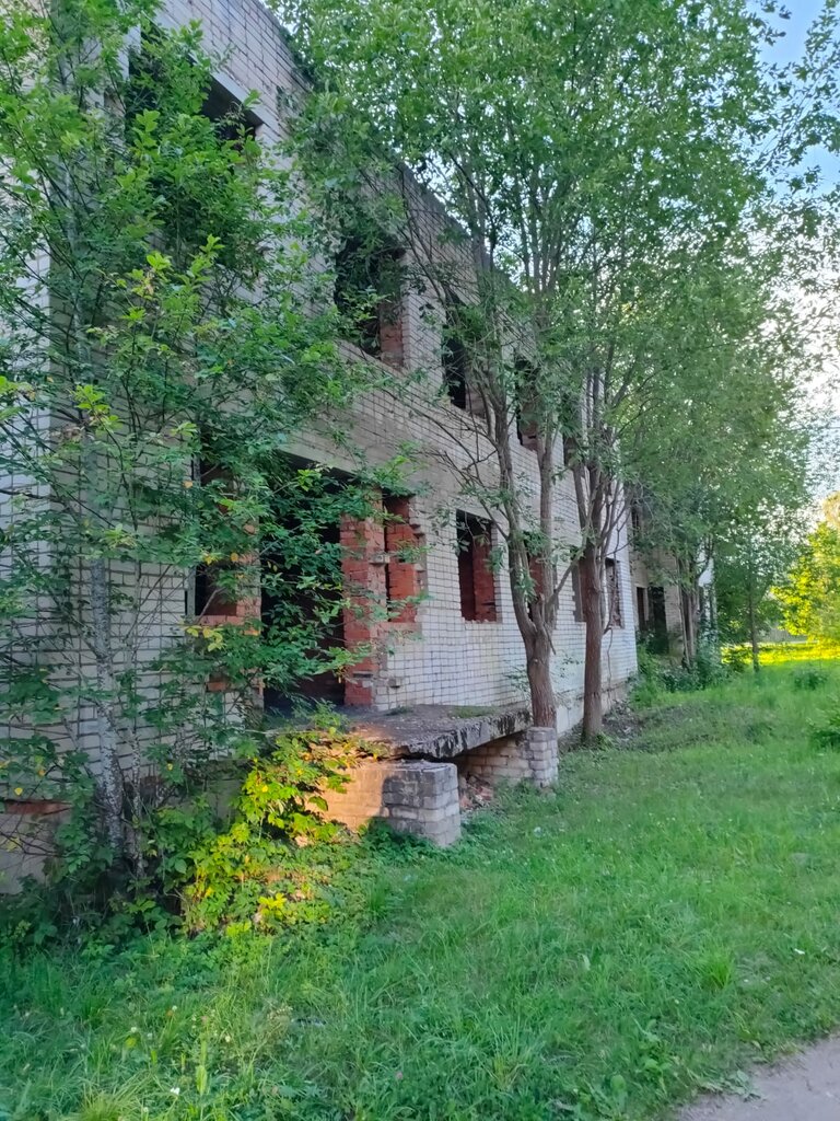 Hastaneler Bolnitsa, Novgorodskaya oblastı, foto