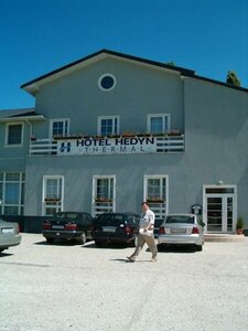 Hotel Hedyn Thermal (Töltésszer 6,9025 Gyor,), otel  Gyor'dan