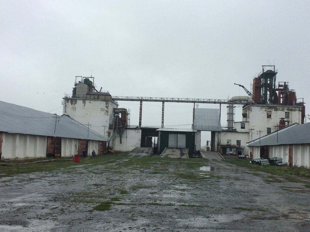 Tarım firmaları Зубковское ХПП, Novosibirskaya oblastı, foto