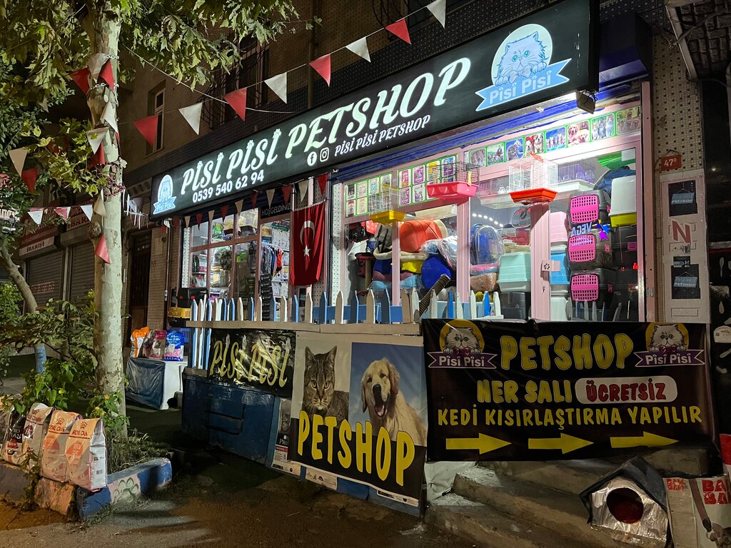 Petshop Pisi Pisi Petshop, İstanbul, foto