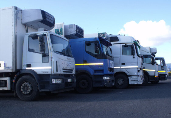 Evden eve nakliye Trasporti Refrigerati Melis Trasporti, Sardunya, foto