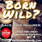 Bail Stop Bail Bonds (United States, Las Vegas, 1818 S Industrial Rd, Suite 201), kredi komisyoncuları  Las Vegas'tan