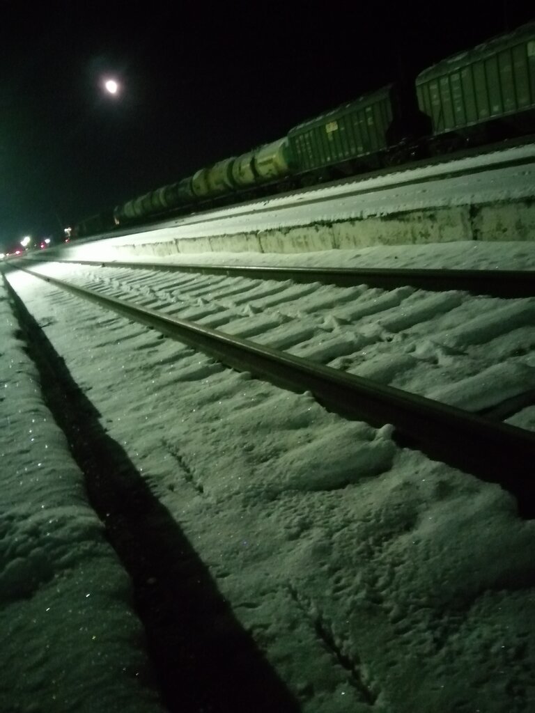 Tren istasyonu станция Березовский-Восточный, Amursk Bölgesi, foto