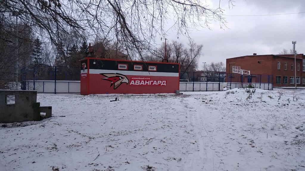 Stadyum Хоккейный клуб Авангард, Omsk, foto
