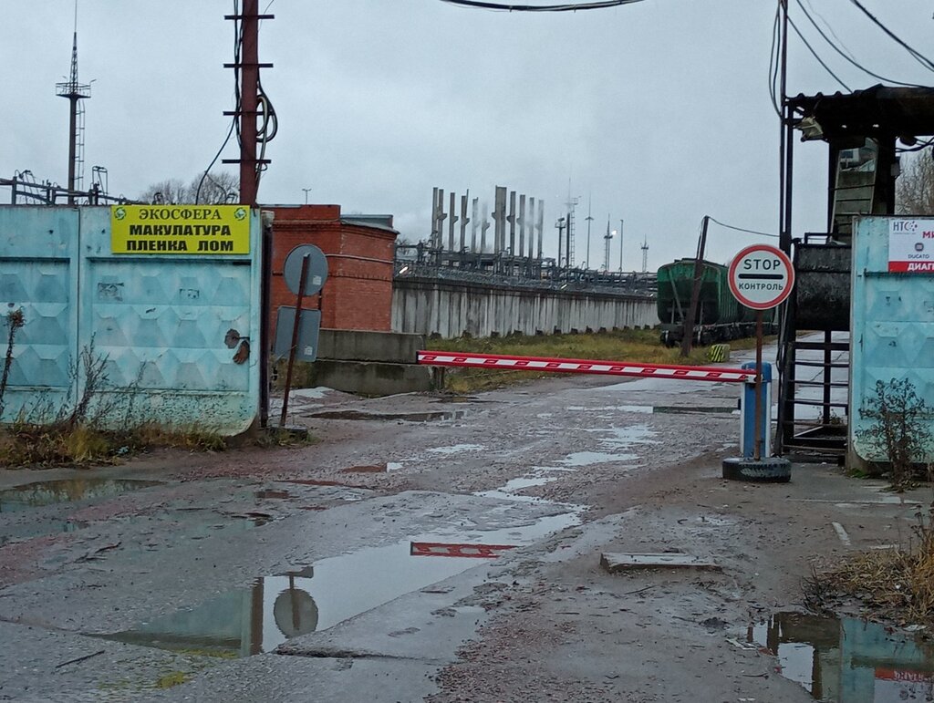 Geri dönüşüm maddeleri Divizion, Saint‑Petersburg, foto