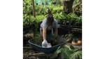 Lotos S. A. S Nursery (Valle del Cauca, Municipio de Santiago de Cali, Comuna 22, Parcelaciones Pance, Carrera 129), fidan yetiştiriciliği  Cali'den