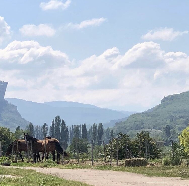 Otel Ksk Kachi-Kalion, Kırım Cumhuriyeti, foto