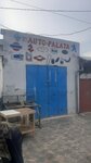 Ets Auto Palata (Brazzaville, Avenue des Trois Martyrs), oto aksesuarları  Brazzaville'den