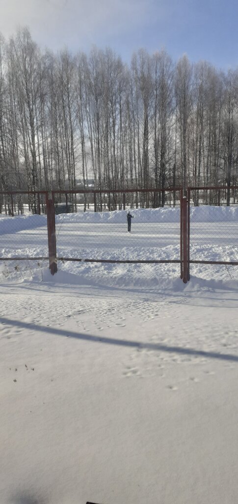 Parklar ve ormanlar Кедровый парк, Vologodskaya oblastı, foto