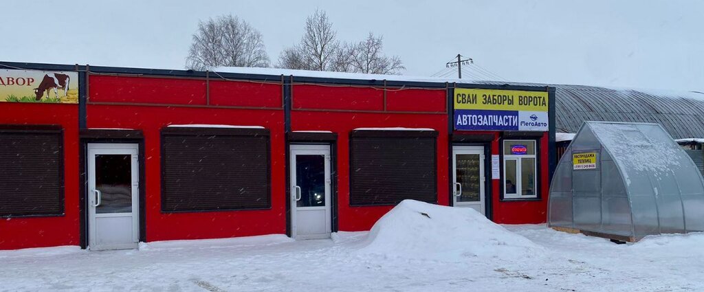 Çitler, parmaklıklar Vint. Svai. Montag, Saint‑Petersburg ve Leningradskaya oblastı, foto