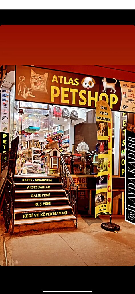 Petshop Atlas petshop, İstanbul, foto