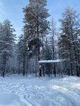 Spring, stream (Komi Republic, munitsipalnoye obrazovaniye Pechora, Pechora), pınar, çay  Pechora'dan