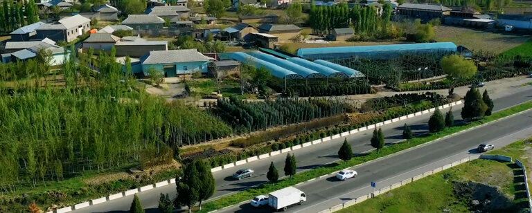 Sera ve bahçe ürünleri Gardenuz, Taşkent eyaleti, foto