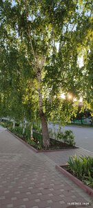 Прохлада (ulitsa Karla Marksa No:1), otel  Sudja'dan