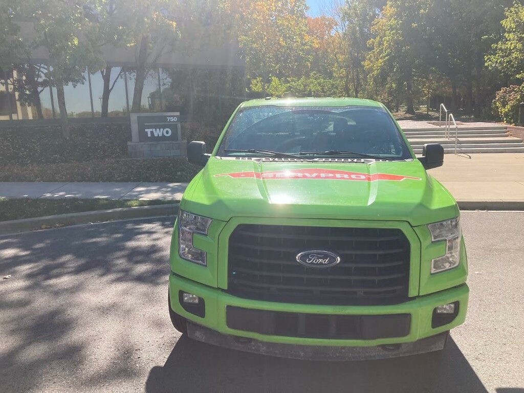 Halı yıkamacılar Servpro of South Nashville, Tennessee Eyaleti, foto