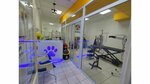 Digital Bulldog (Region Metropolitana, Guatemala, Avenida Las Americas, 7-30), petshop  Guatemala'dan