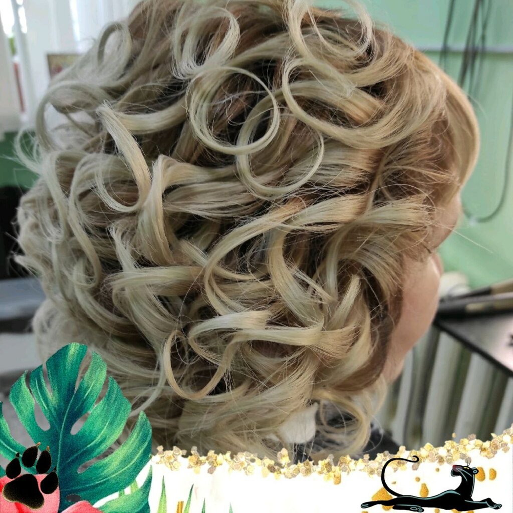 Kuaförler Bagira, Tümen (Tiumenskaya) oblastı, foto