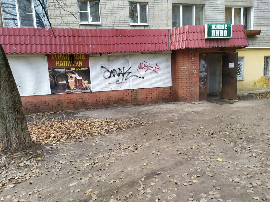 Bira dükkanı Живое пиво, Voronej, foto